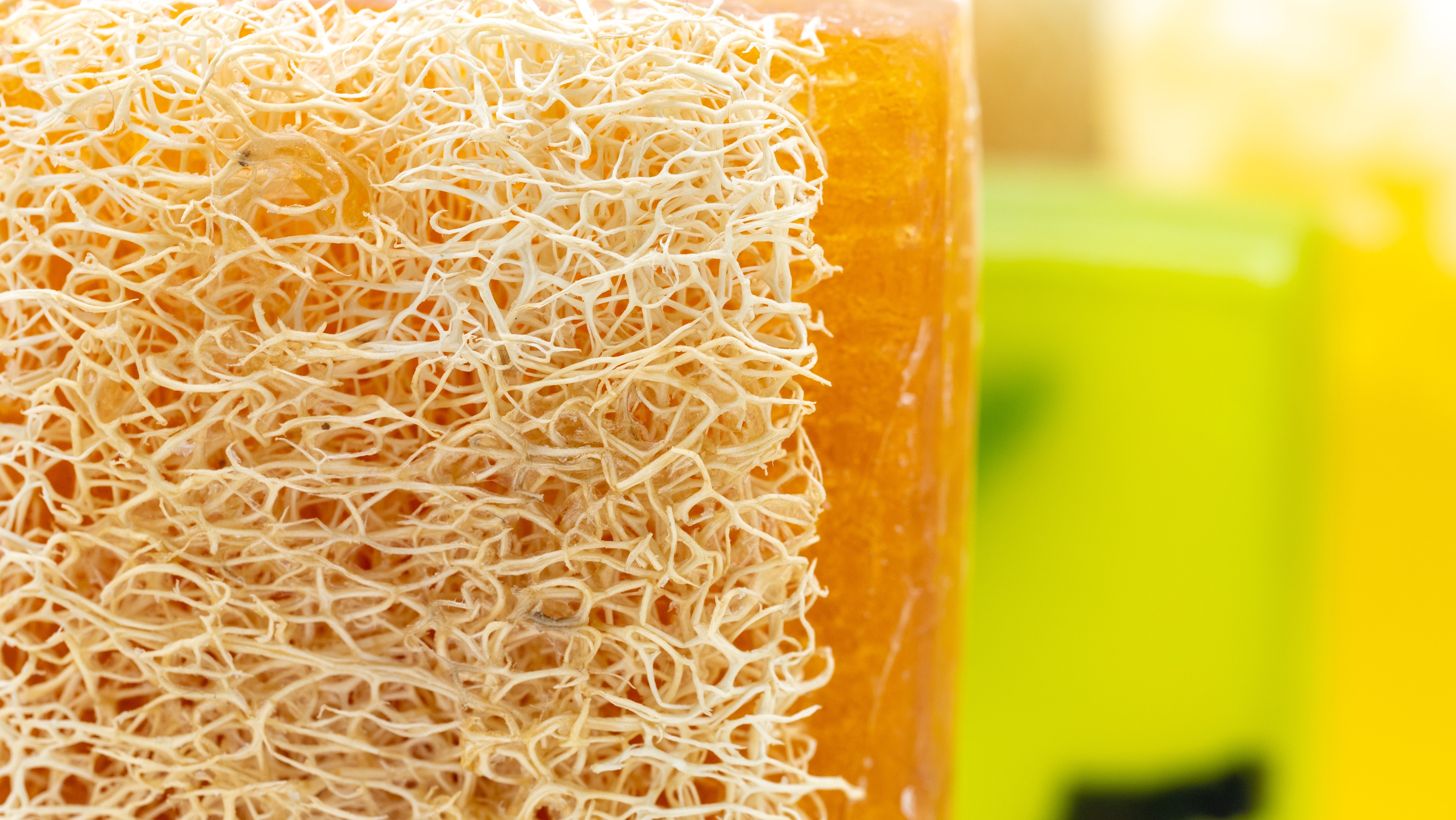 A Magical Composition: Natural Loofah Meets The Soap Bar – Sabun Co.
